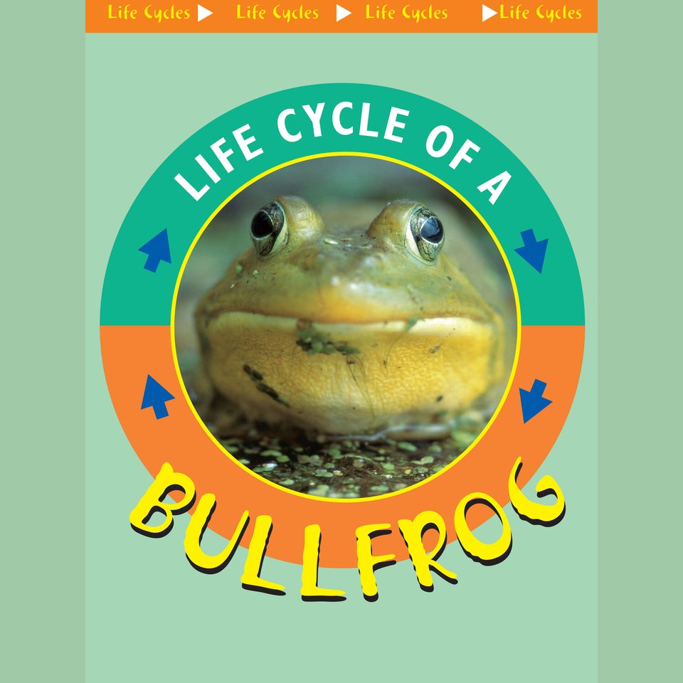 Life Cycle of a Bullfrog by Jason Cooper - Audiobook