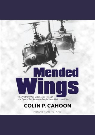 Mended Wings
