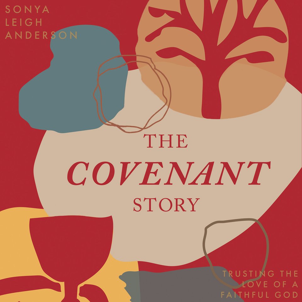 The Covenant Story by Sonya Leigh Anderson - Audiobook