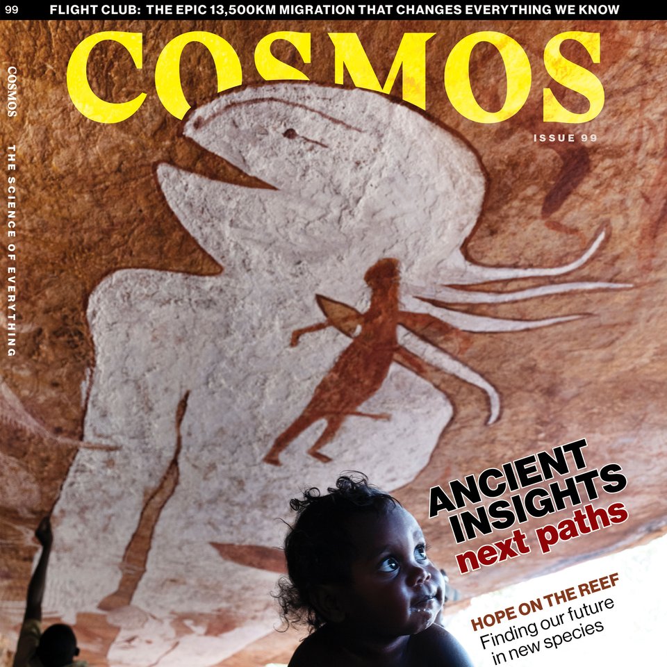Cosmos Issue 99 by The Royal Institution of Australia - Audiobook