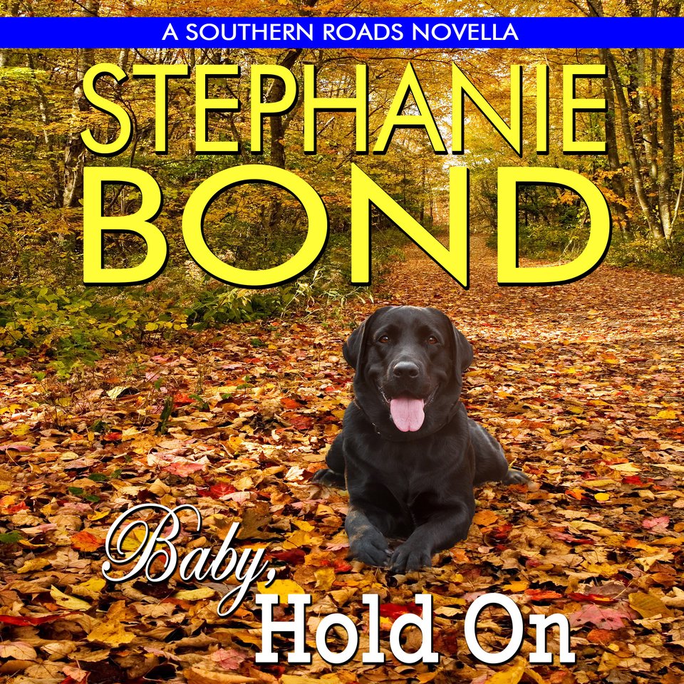 Baby, Hold On by Stephanie Bond - Audiobook