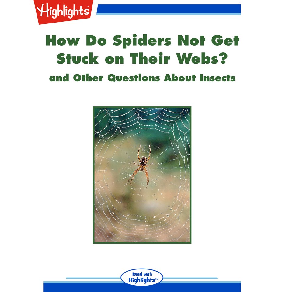 How Do Spiders Not Get Stuck on Their Webs? by Highlights for Children ...