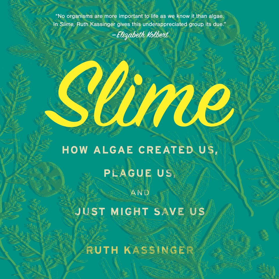 Slime - Audiobook, by Ruth Kassinger | Chirp