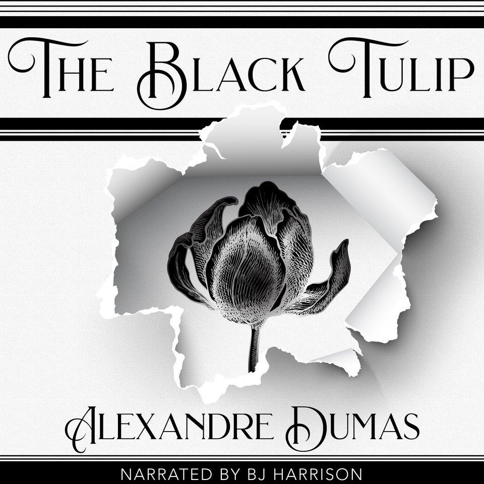 The Black Tulip by Alexandre Dumas - Audiobook